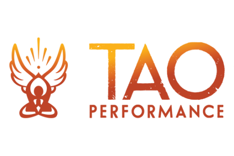 GRAPHIC REGIME // Brand Identity + Logo Design